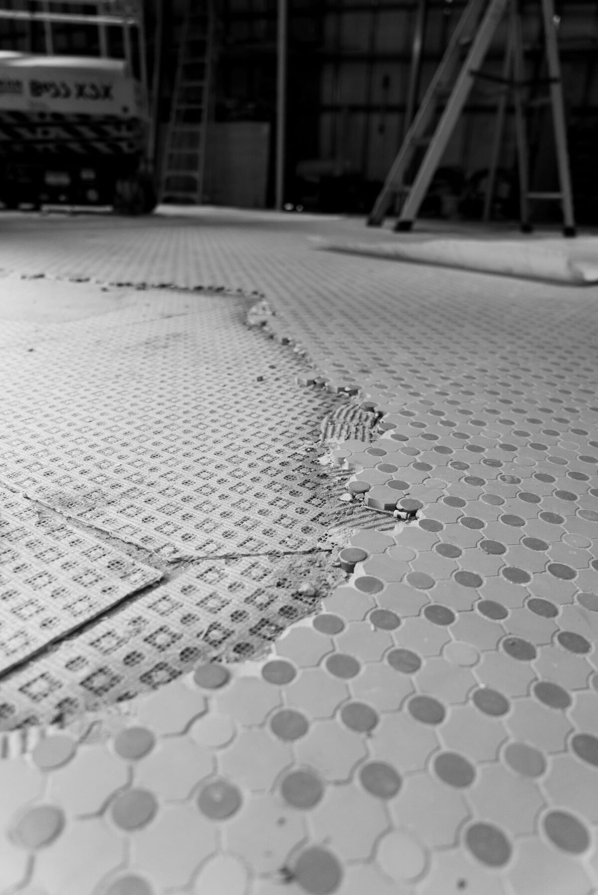 Battersea - Macaulay Sinclair